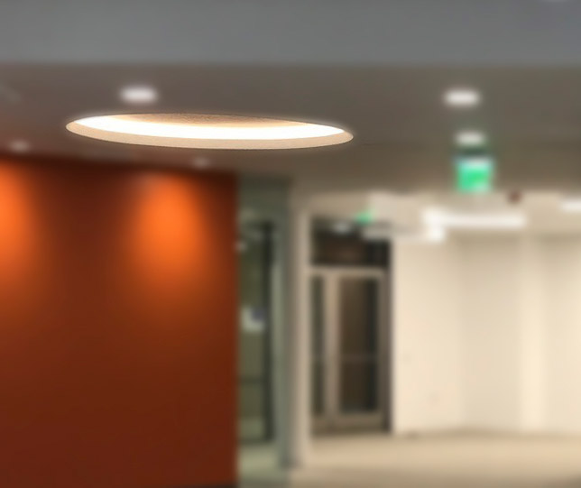 LuxNeon LED Flexible Tube Light | LEDCONN - Versatile Neon Lighting